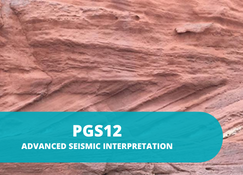 PGS12 - Advanced seismic interpretation | IFP School Academy